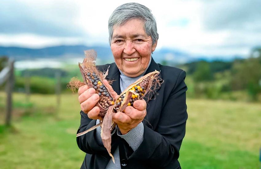 En Gachanzipa; museo campesino gana el premio a la excelencia ...
